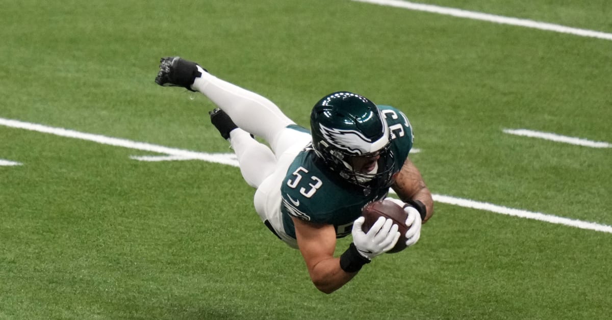 2025 free agency's top off-ball linebackers and the challenge of ...