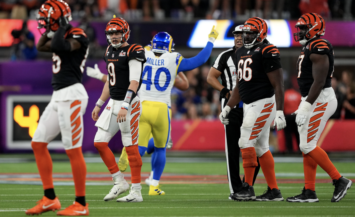 We got the Cincinnati Bengals quote of the year this weekend