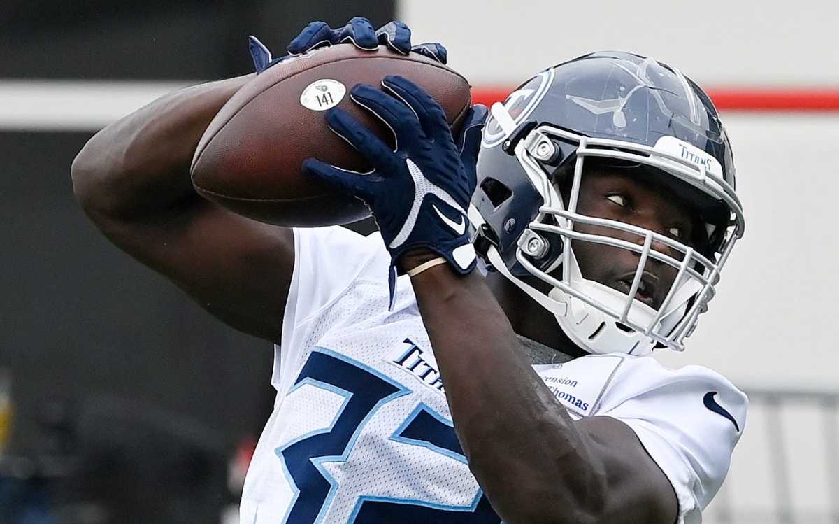 Tennessee Titans players as popular 4th of July traditions