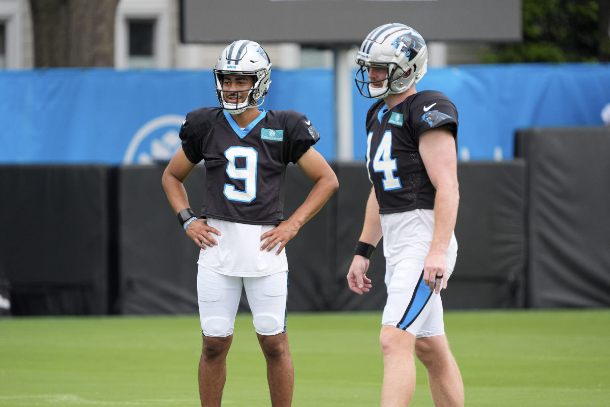 Panthers confirm adding another quarterback following Andy Dalton's injury