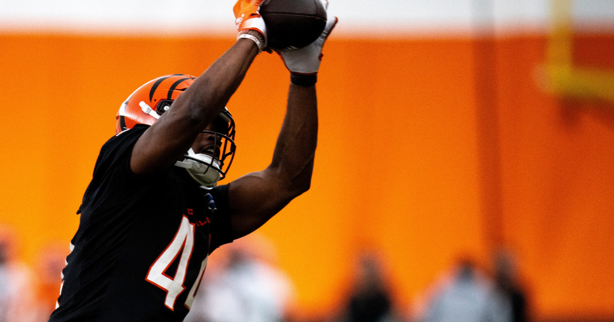 Bengals Roster Breakdown: Aaron Casey's past leadership will serve him ...