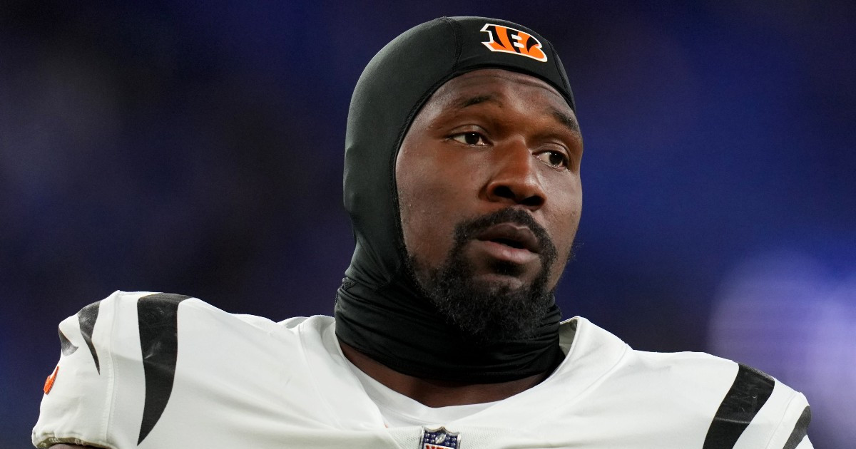 Bengals defensive tackle Zach Carter is on the verge of a breakout year ...