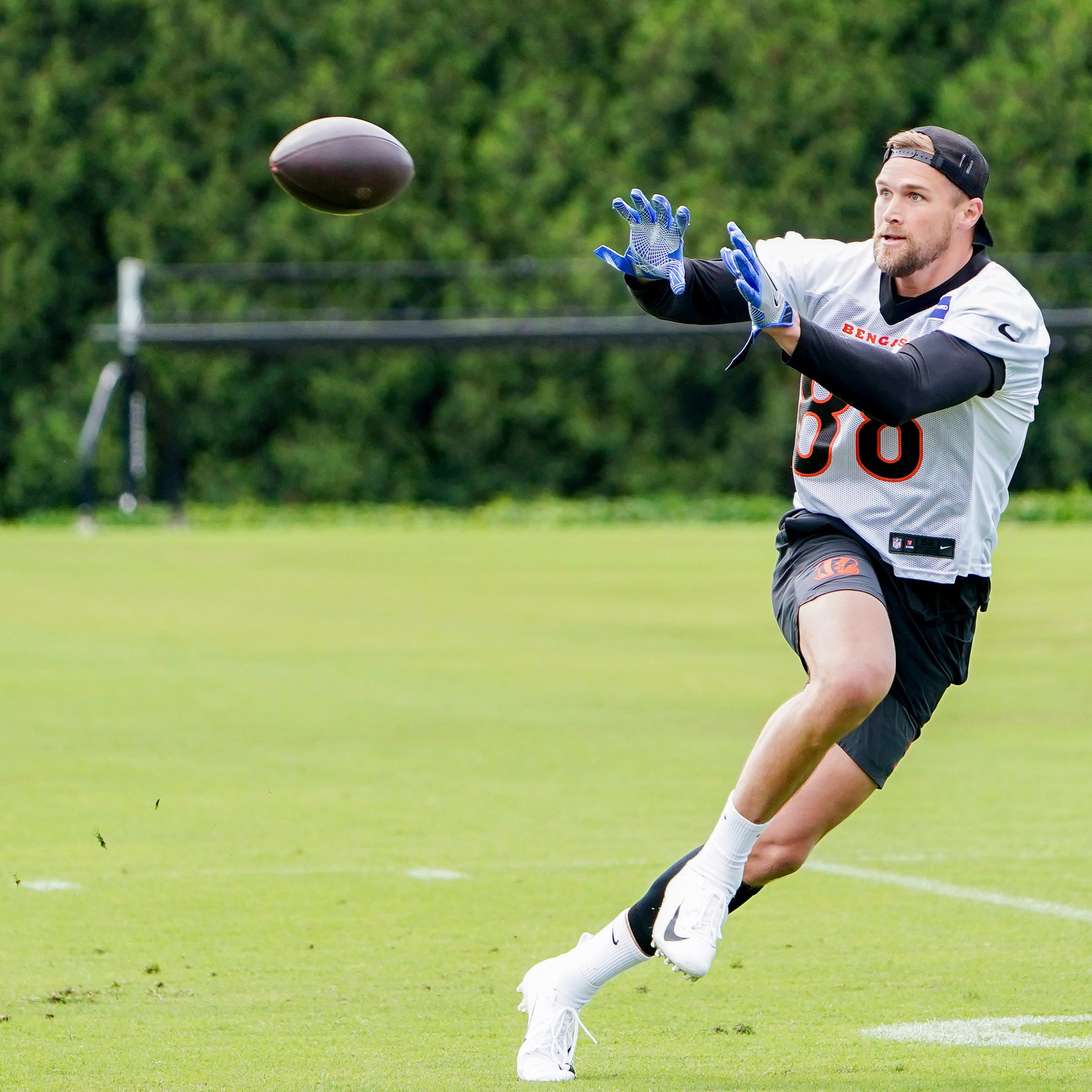 Bengals Depth Chart Preview: Diverse skill sets at tight end remain ...