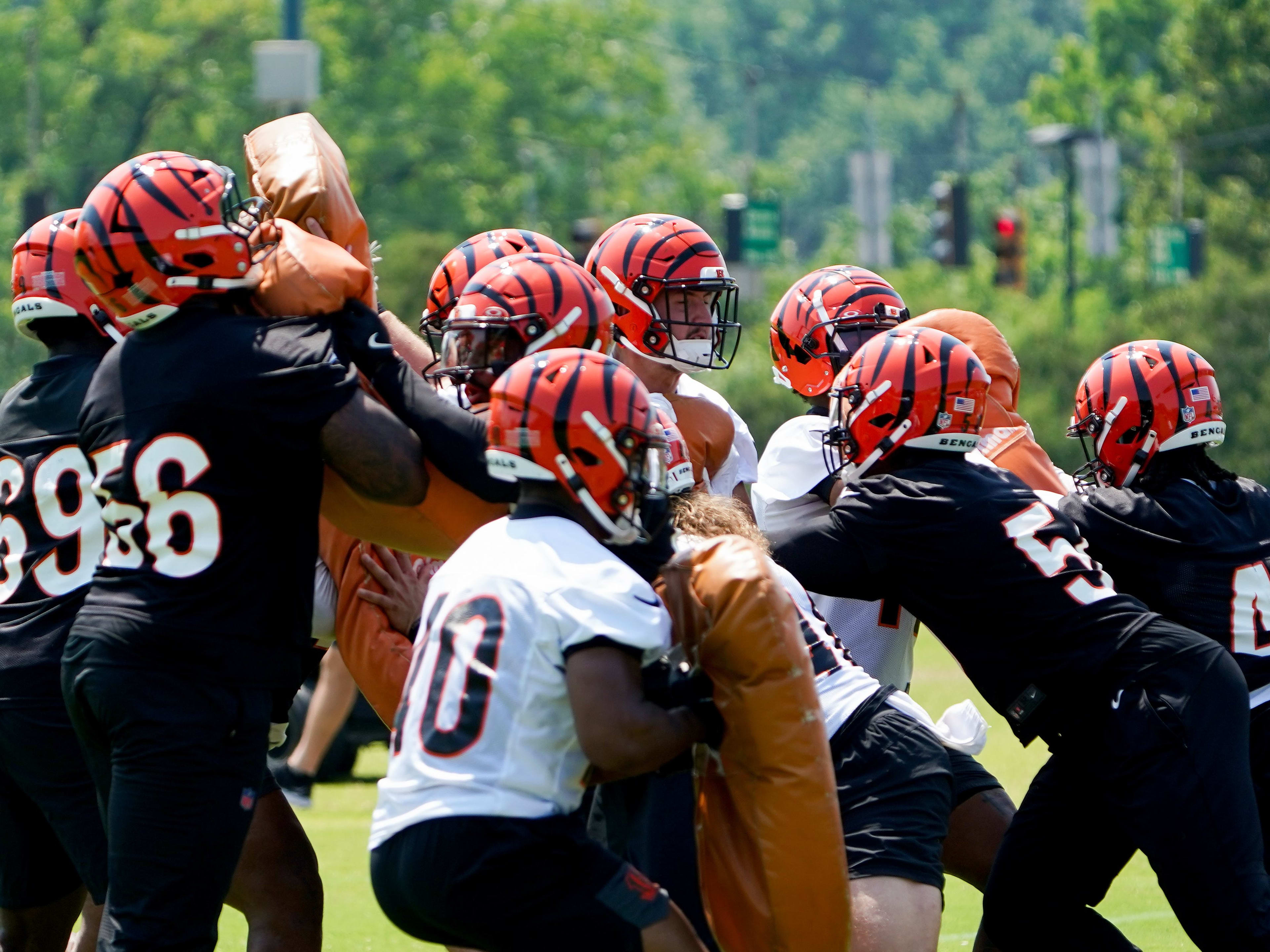 Bengals 53-man Roster Projection: Training camp kicks off multiple ...