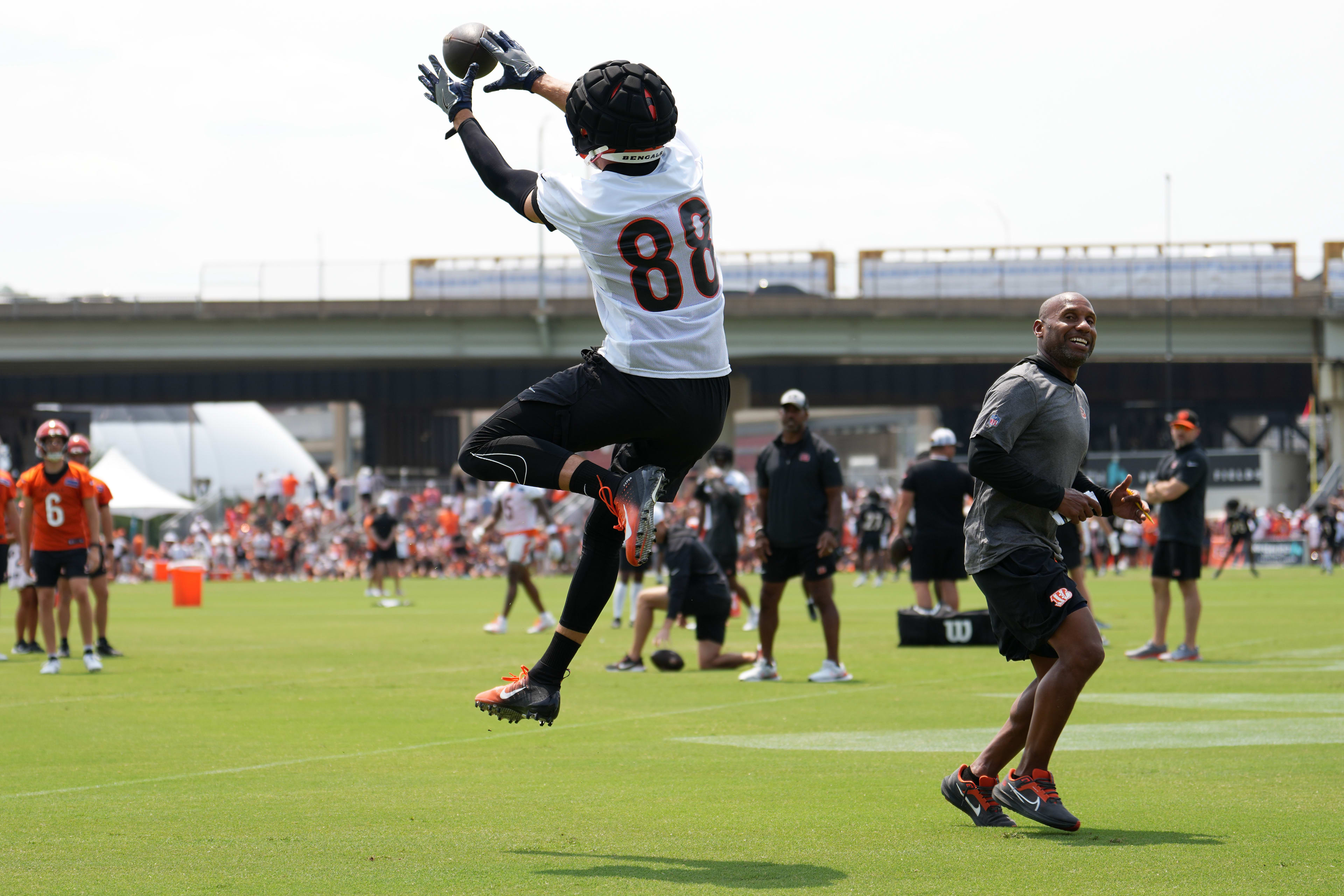 Bengals make the obvious known at the tight end position in their ...