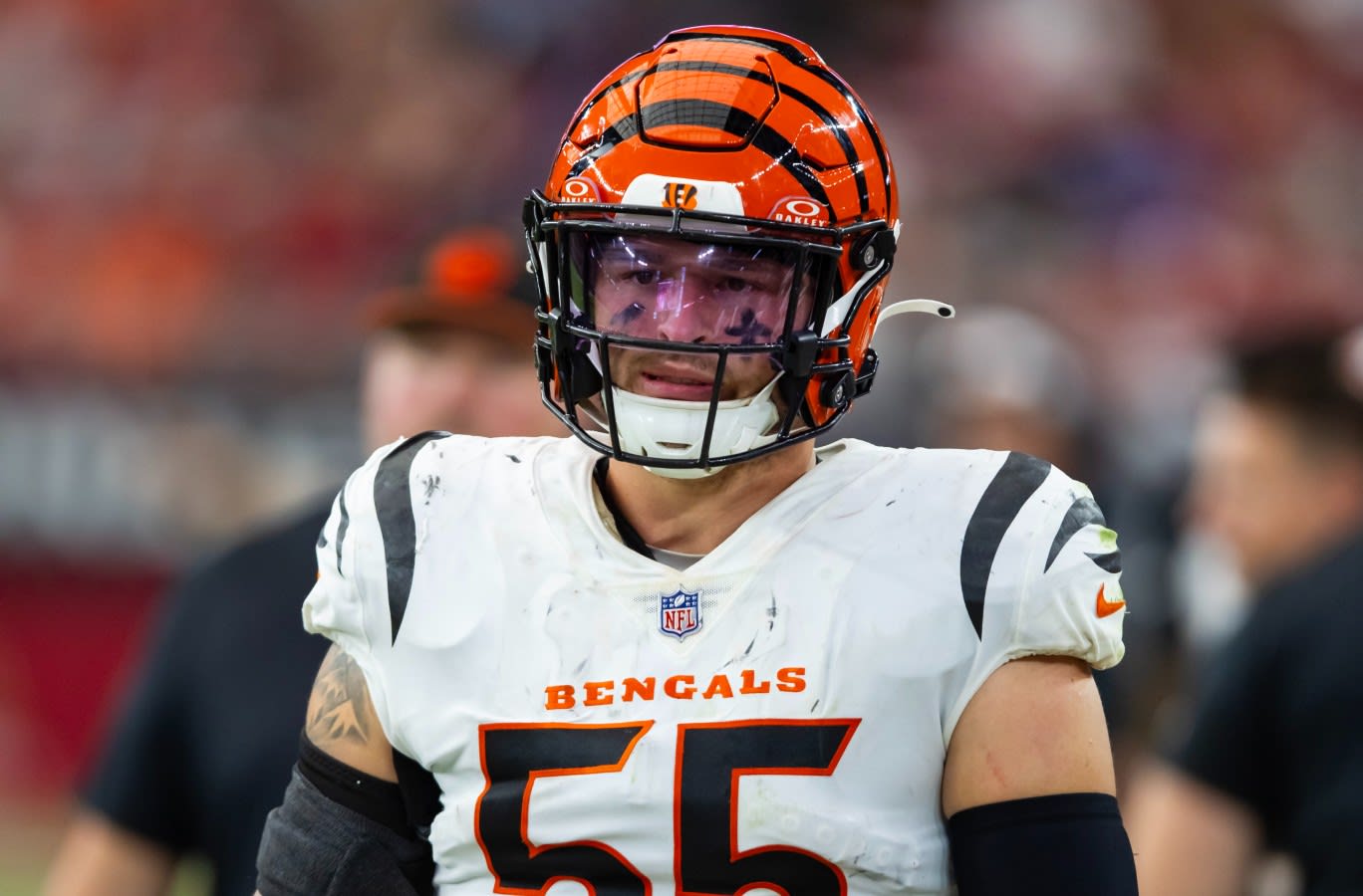 Bengals Depth Chart Preview: Al Golden's reformed linebacker room has ...