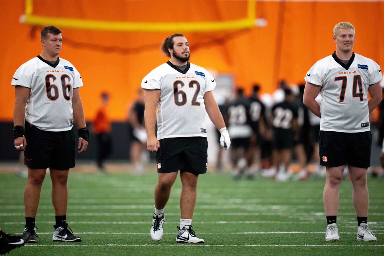 Bengals make surprising player their first offseason roster cut, and ...