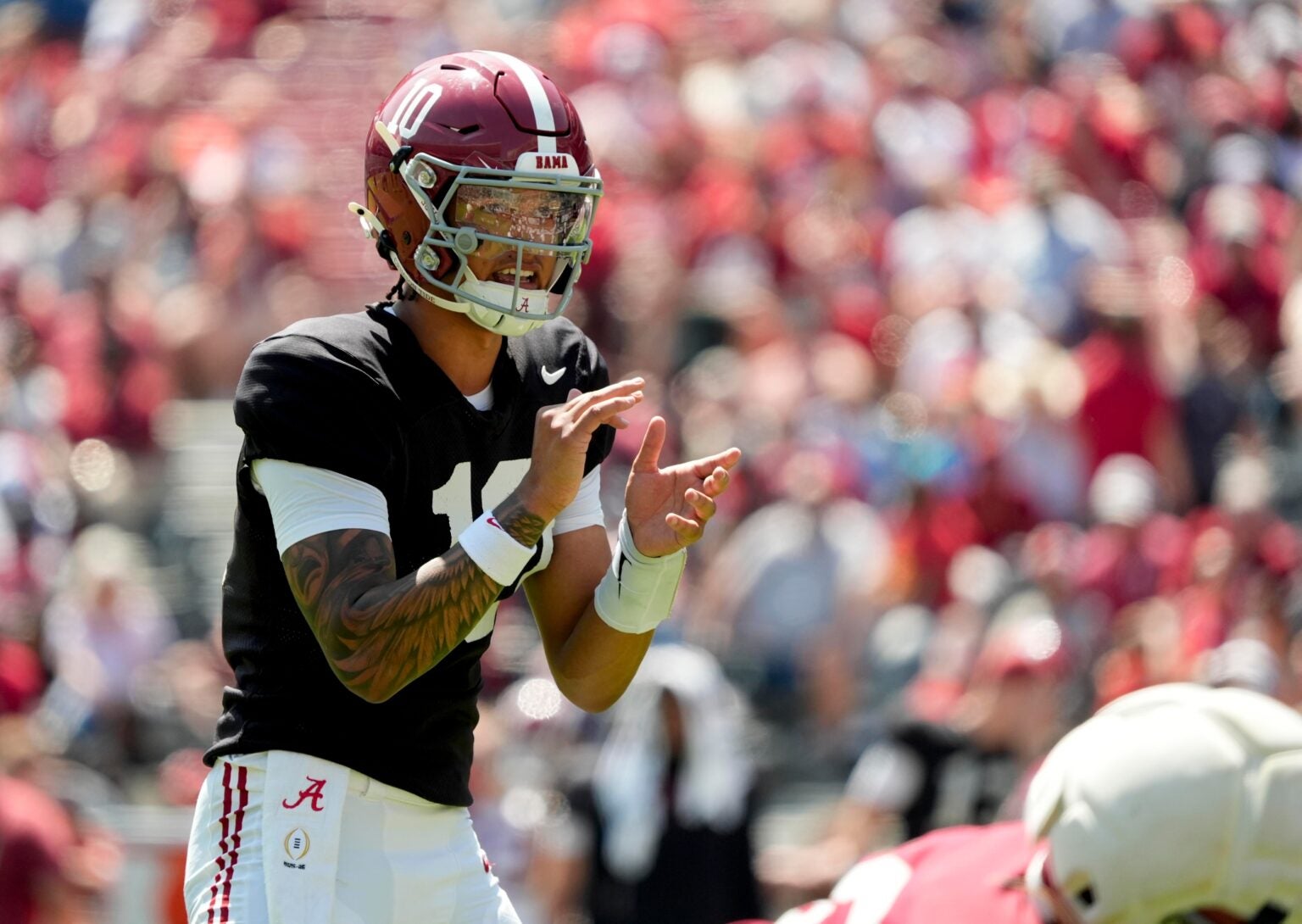 Alabama Crimson Tide quarterback Austin Mack is going to love what ...