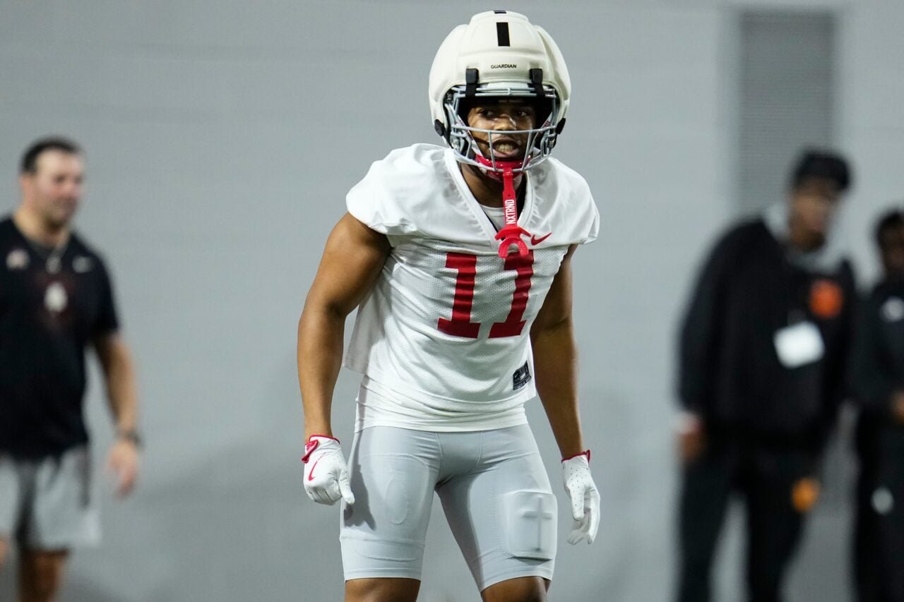 Ohio State football has one of ESPN’s favorite Big Ten transfers to ...